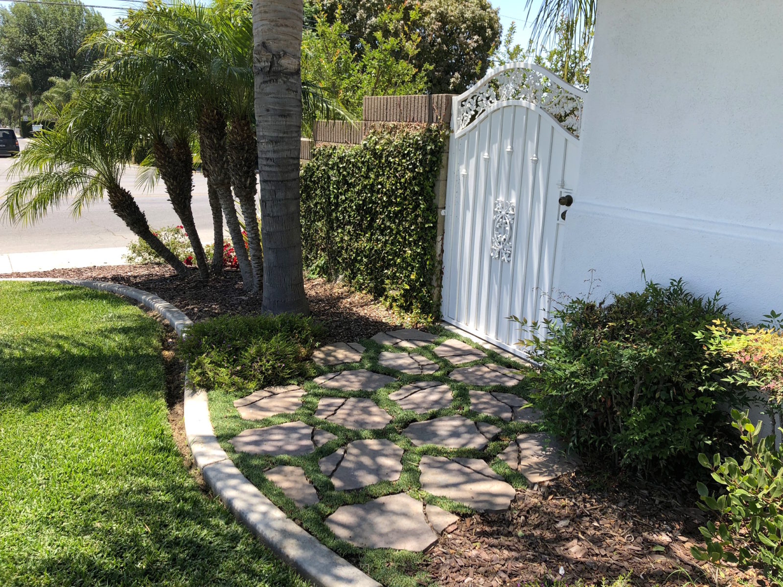 Gallery – Better Than Grass